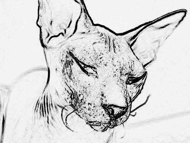 Edge Detection In Computer Vision